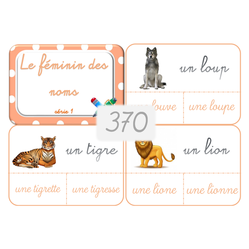 370 - Le féminin des noms (série 1)